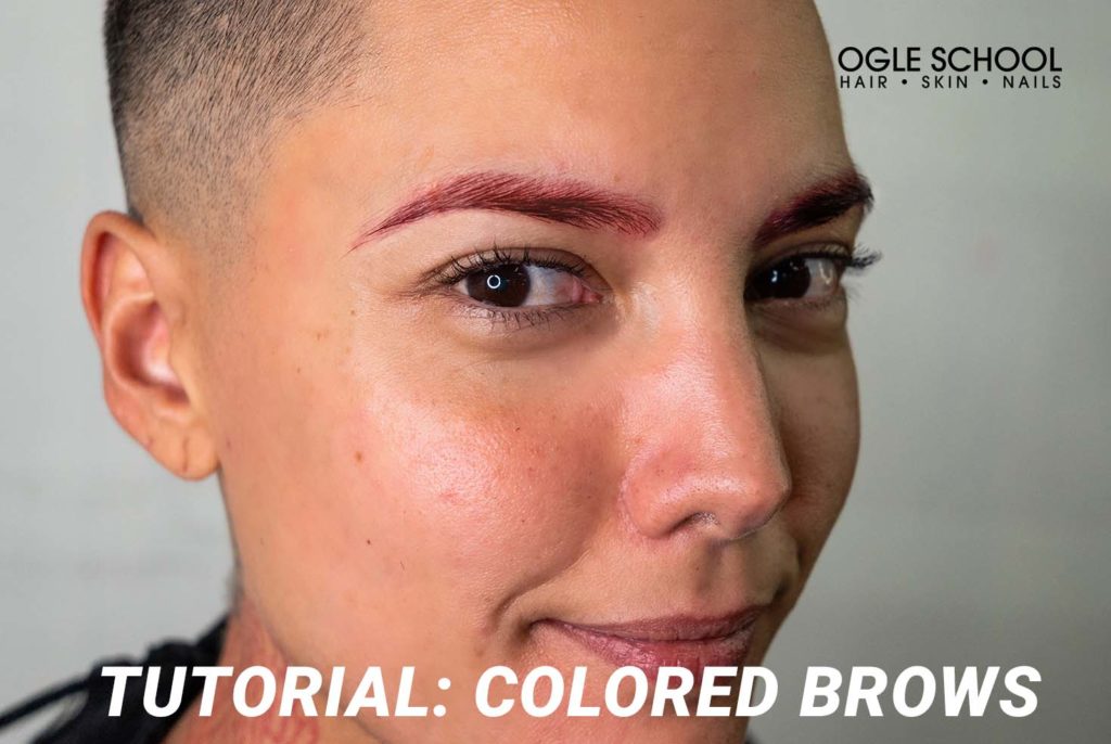 How To Tint Your Brows: A Tutorial | Ogle School